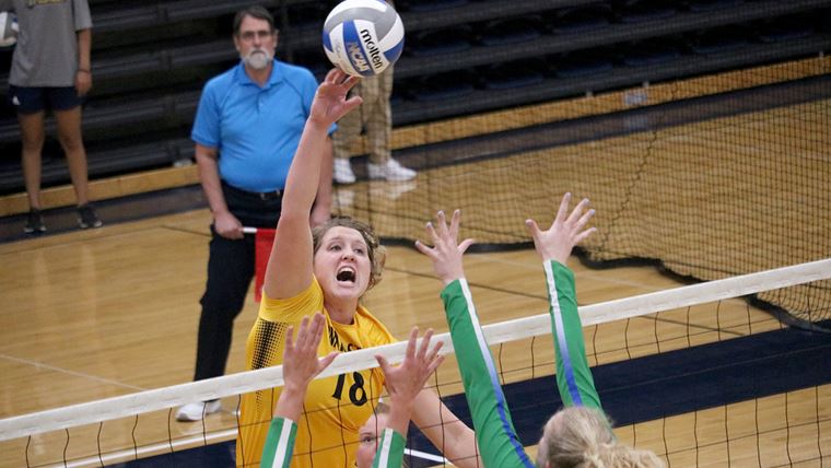 Brahmer Awarded Offensive Player Of The Week, Walker Tabbed As Top ...