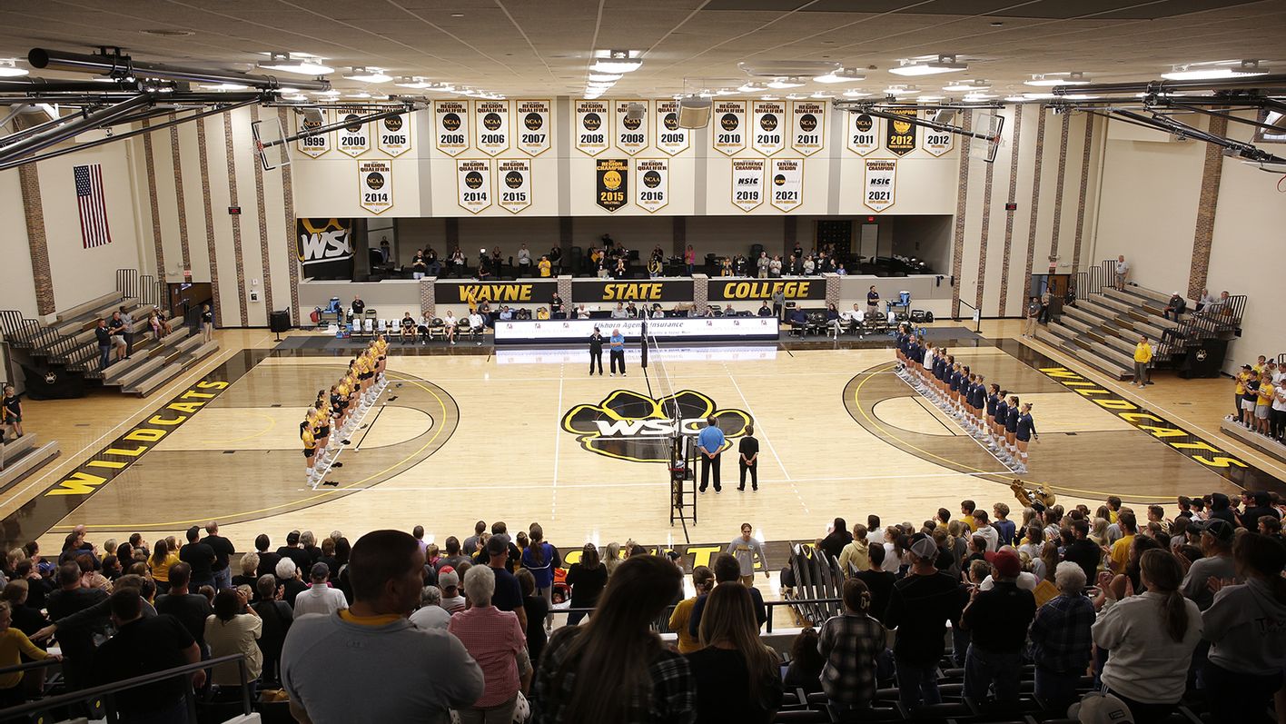 All-American Recognition For Wayne State Volleyball Standouts | WDN ...