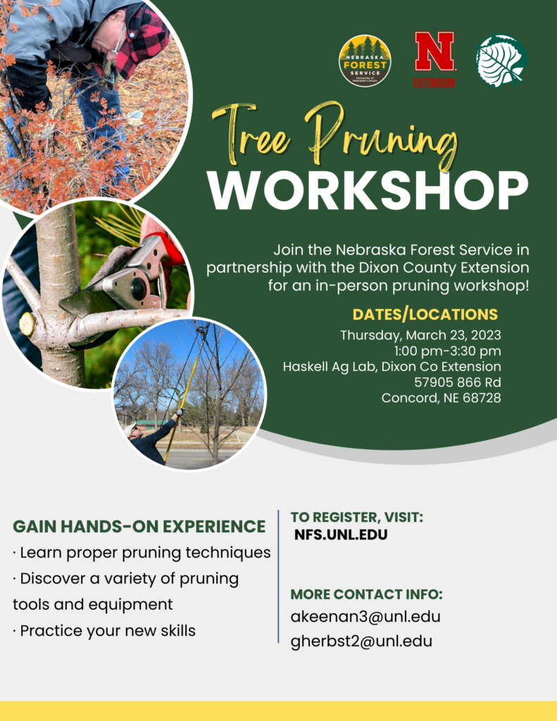 Tree Pruning Workshop Offered By Haskell Ag Lab | WDN – Wayne Daily News – Wayne, Nebraska