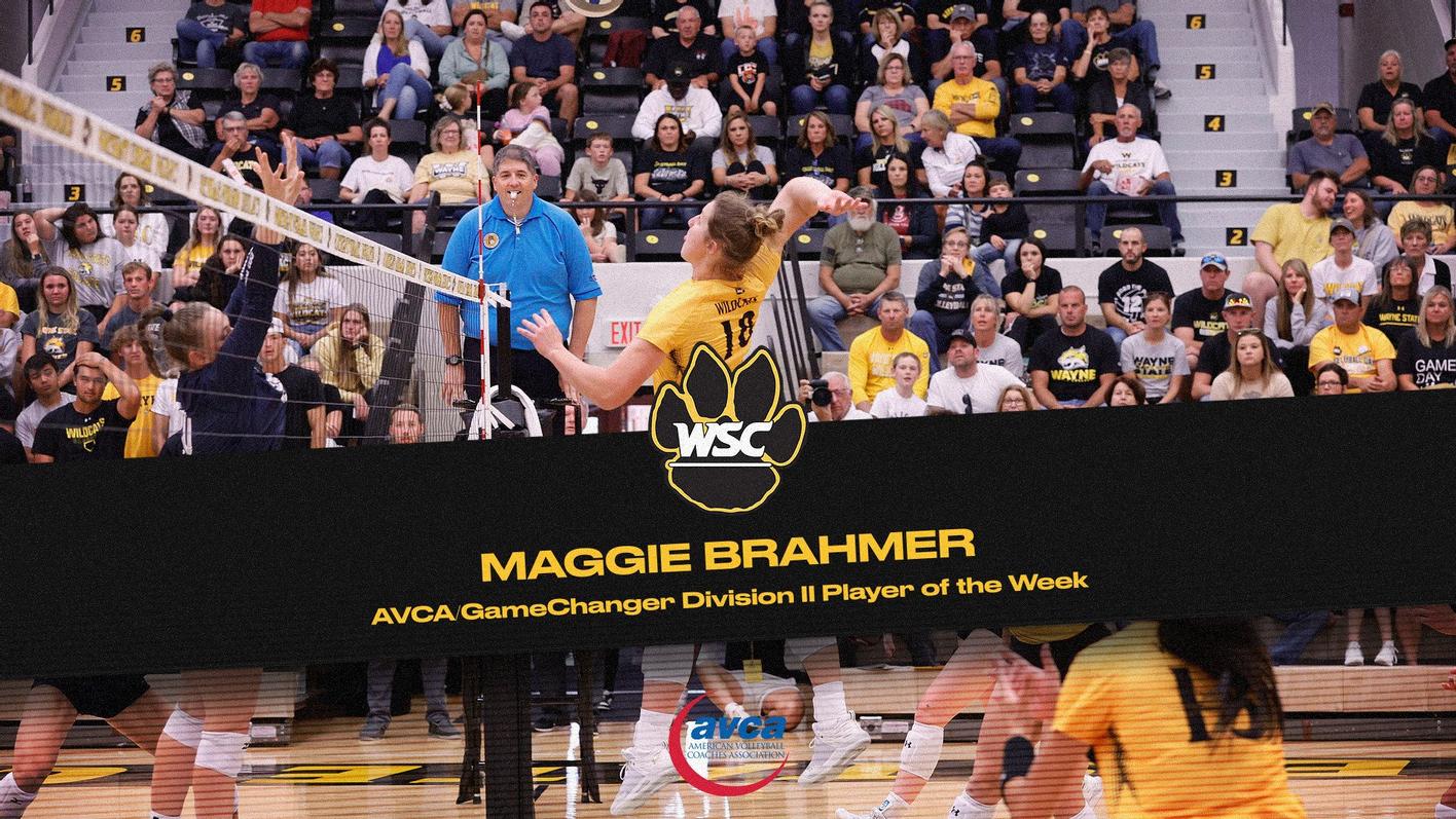 Brahmer Credited With National Player Of The Week Honors | WDN – Wayne ...