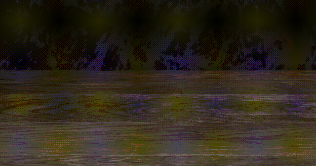 WDN – Wayne Daily News – Wayne, Nebraska