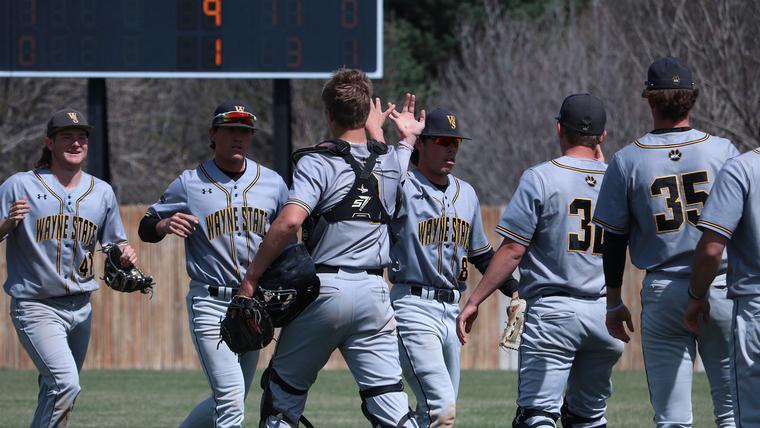 Wayne State Bats Come Alive, Win By Double Digits | WDN – Wayne Daily ...