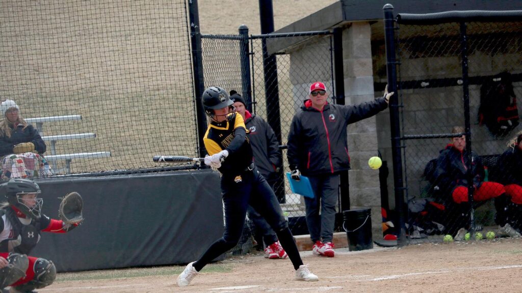 Wayne State Softball Splits Saturday Competition | WDN – Wayne Daily ...