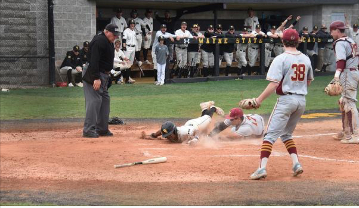 Wayne State Splits With Northern State, Sunday Outing Canceled In Top ...