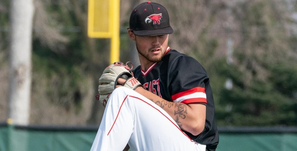 NECC Baseball Represented With Six On ICCAC All-Region Team | WDN ...