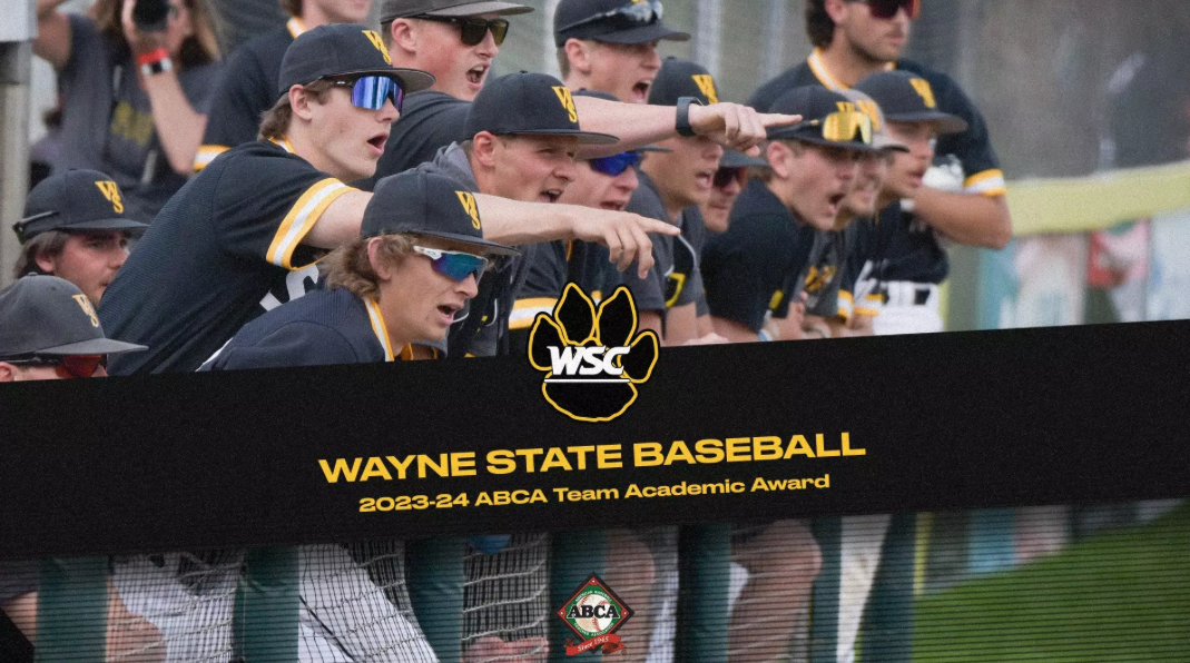 Wildcat Baseball Collects ABCA Team Academic Award | WDN – Wayne Daily ...