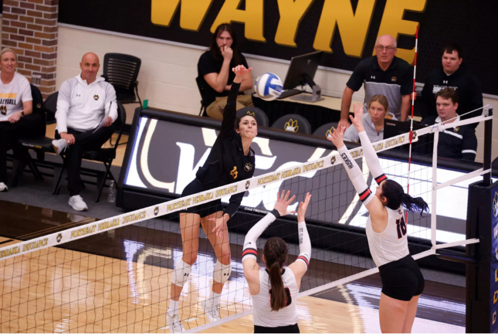 #4 Wayne State Finishes First Match With .295 Hit Percentage, Robles ...