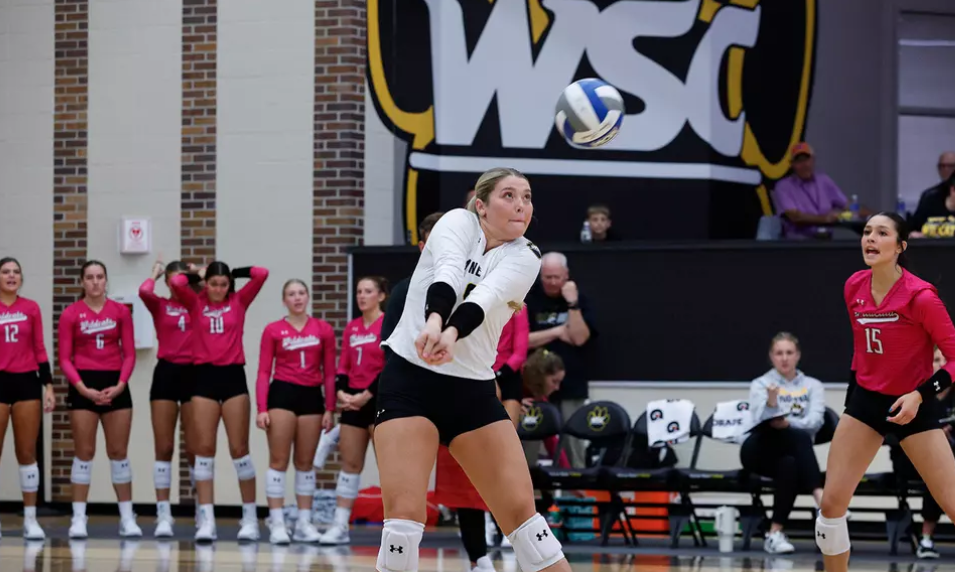 Wildcats Win In Four, Three With Double Figure Kills And Sixth Double ...
