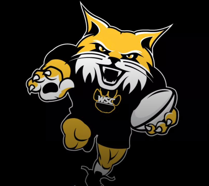 WSC Men’s Rugby Wins 15s National Title, Draper Named MVP | WDN – Wayne ...