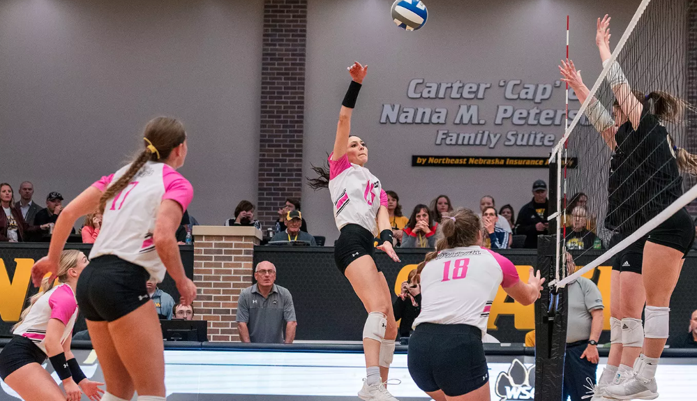 Robles Tabbed NSIC Offensive Player Of The Week | WDN – Wayne Daily ...