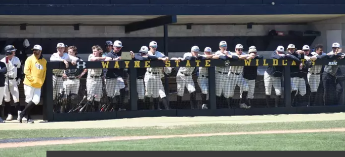 Wayne State Baseball Suffers Two Losses Sunday Falling Behind In Series ...