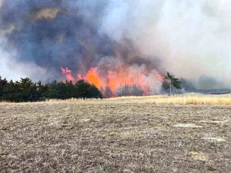 Prescribed Fire Loses Control Near Johnstown; Statewide Burn Ban Issued ...
