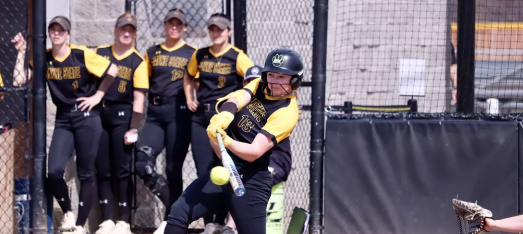 WSC Softball Runs Into Trouble With #14 Augustana | WDN – Wayne Daily ...