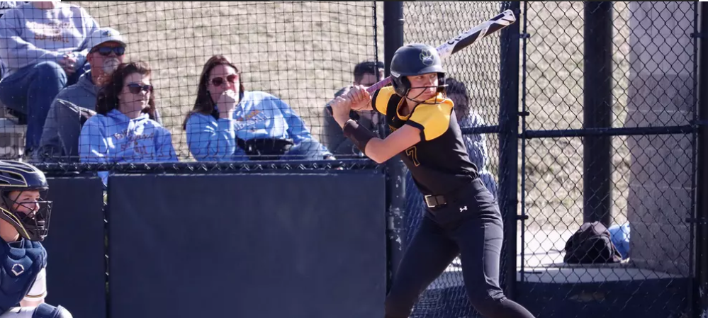 Wayne State Splits Regular Season Finale, First 30 Win Season In A ...