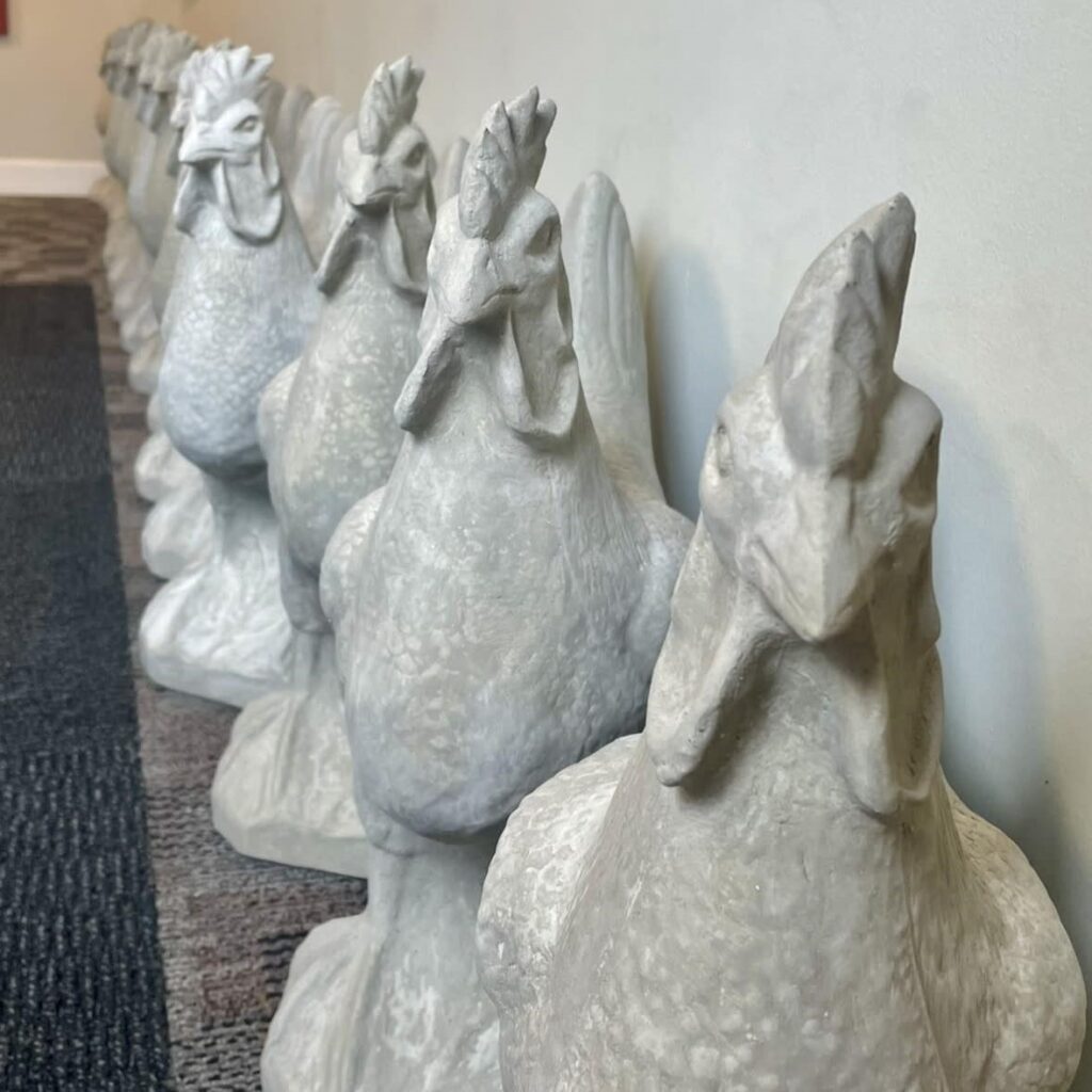 Got Chickens? | WDN – Wayne Daily News – Wayne, Nebraska