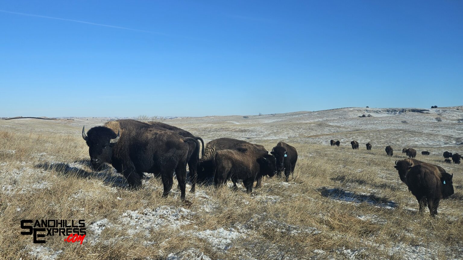 Alternative Agriculture Conference Set for January 28 & 29 - Sandhills ...